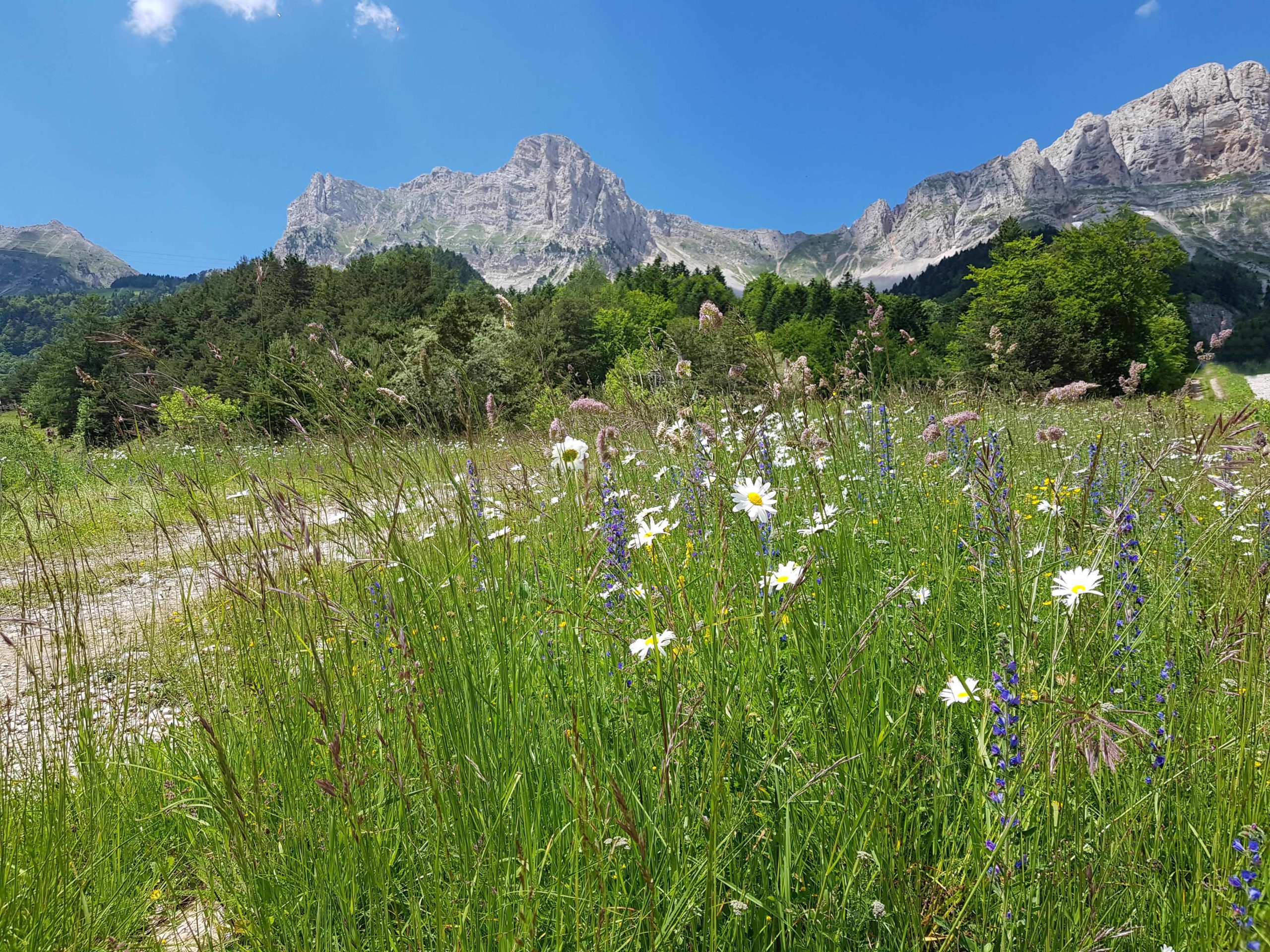 Gresse-en-Vercors – Le plus haut village du Vercors.